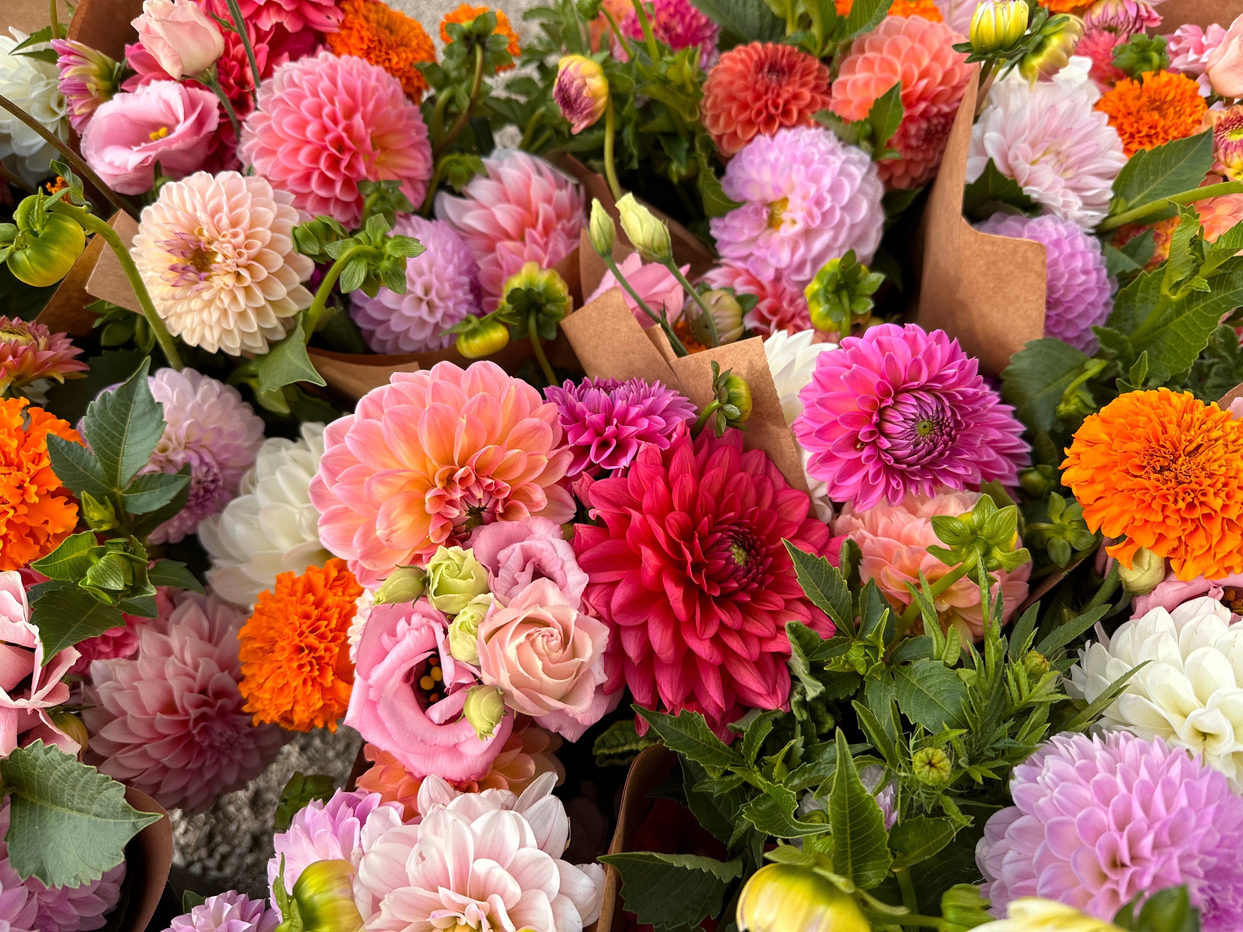 2025 Fall Bouquet Subscription | North Road Flower Farm - Growing ...