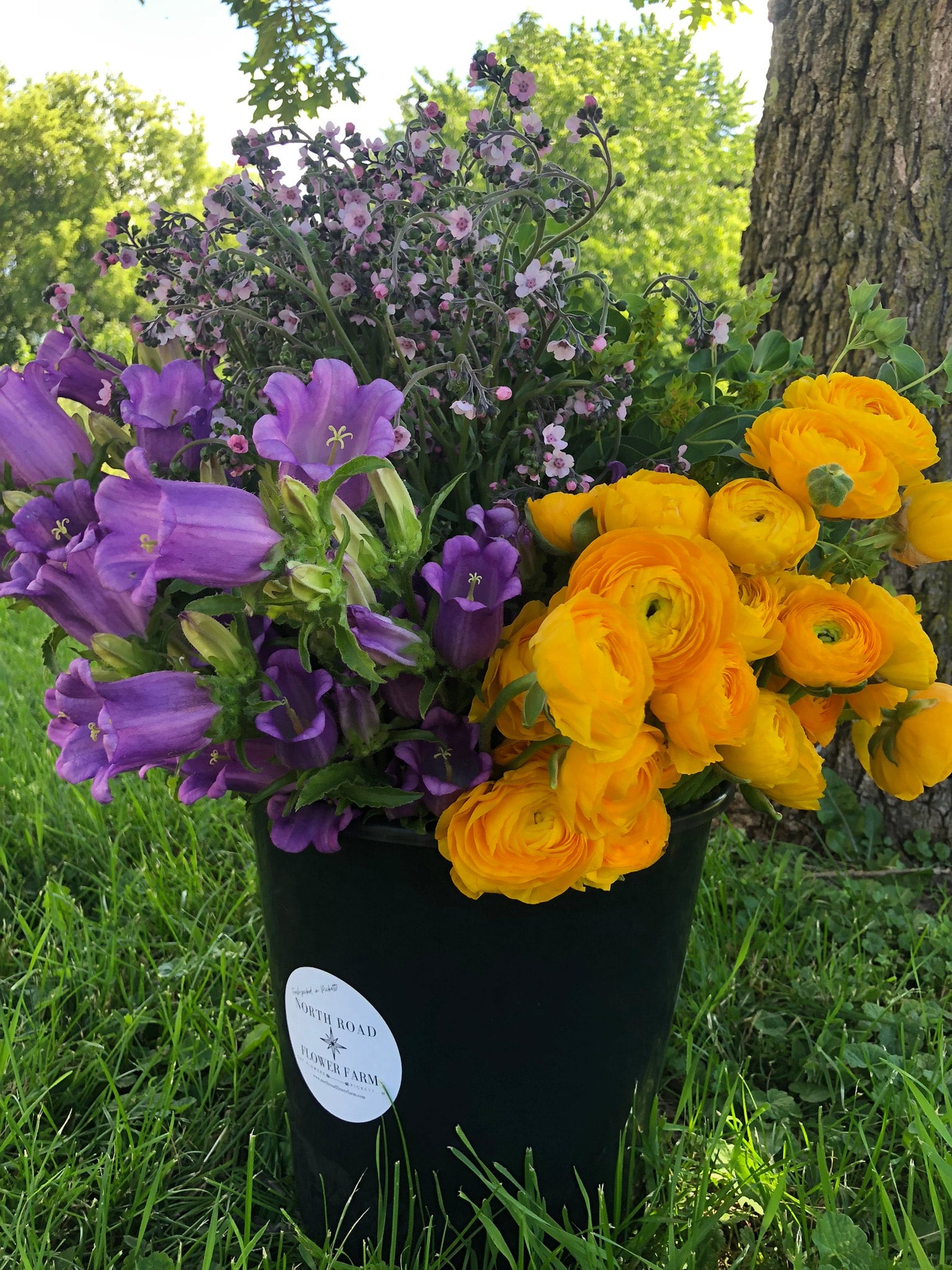 DIY Bucket of Flowers | North Road Flower Farm - Growing specialty cut ...
